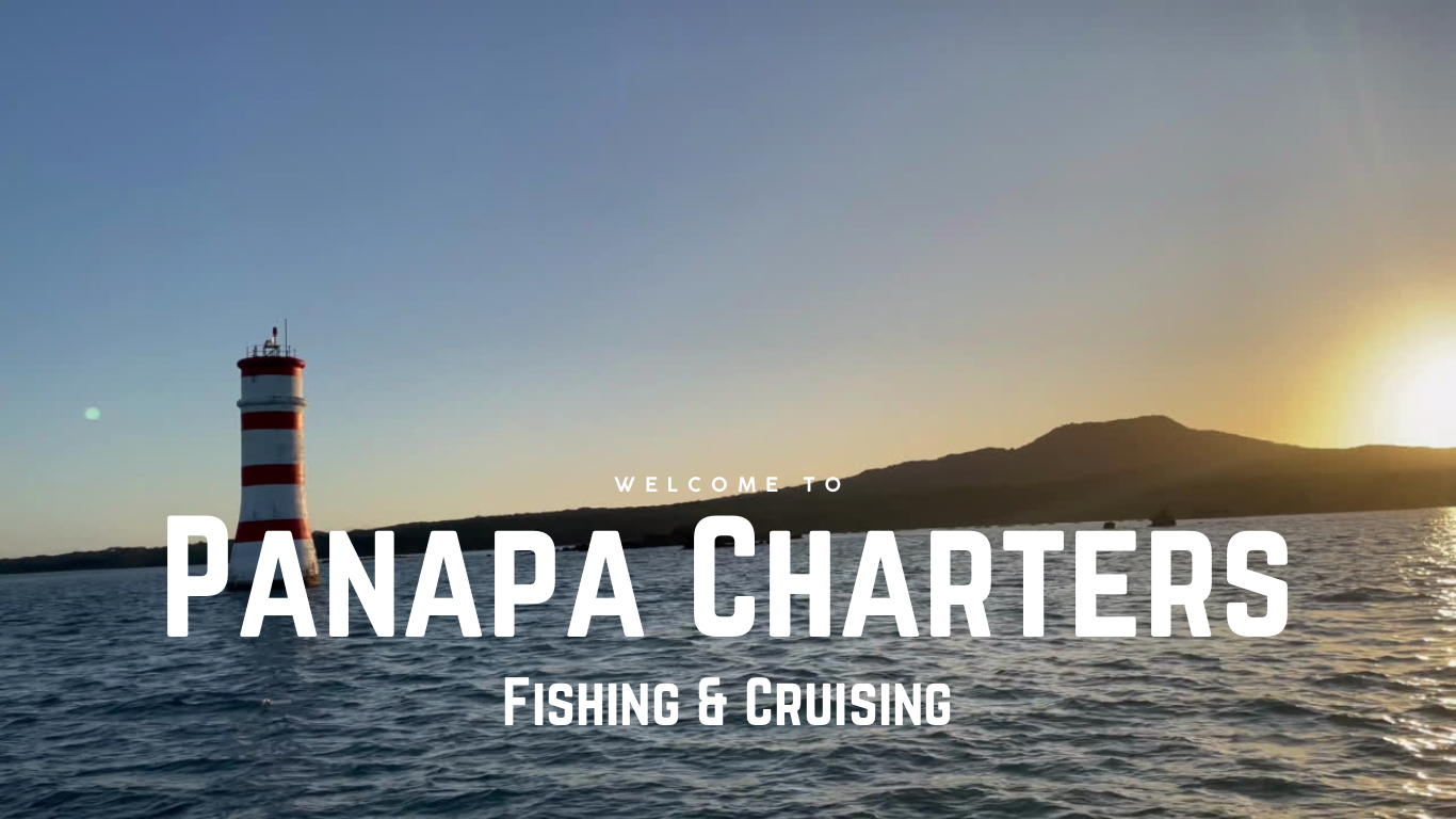 Fishing in Auckland New Zealand with Panapa Fishing Charters – Panapa ...